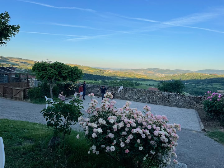 Maison Au Cœur Du Parc D'un Château Du 18ème - Rive-de-Gier