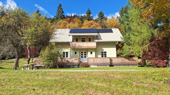 Forest House Henriette | Terrace & Pure Nature - Podgora