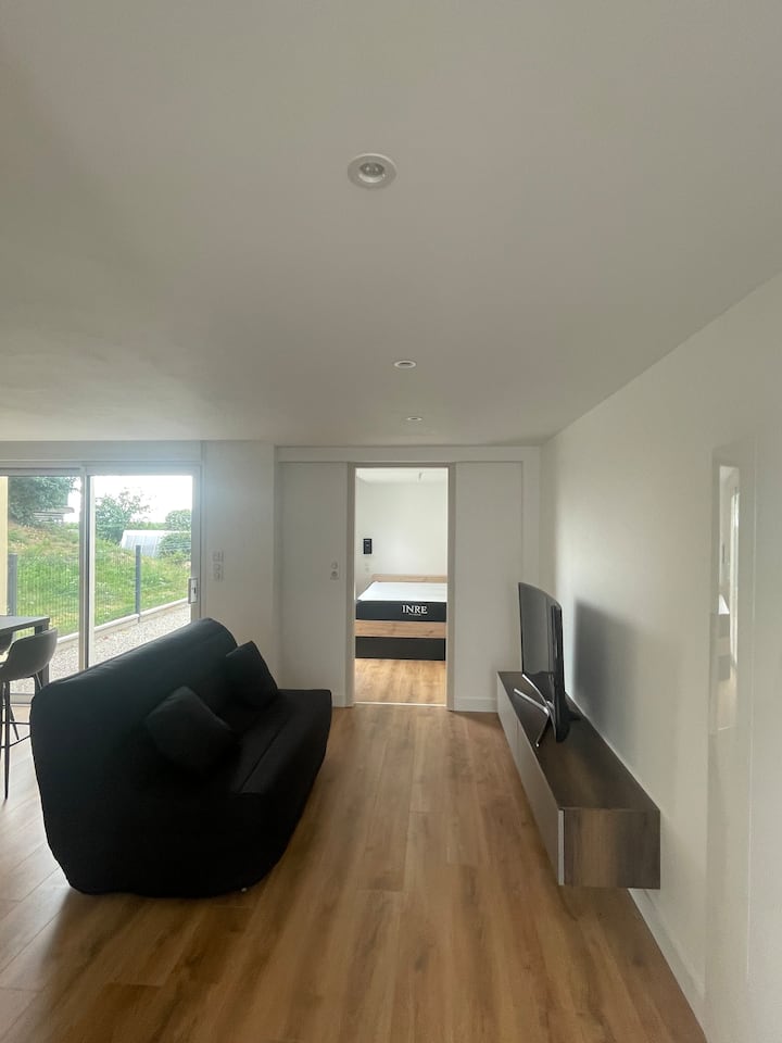 Studio Neuf Tout Confort - Turckheim