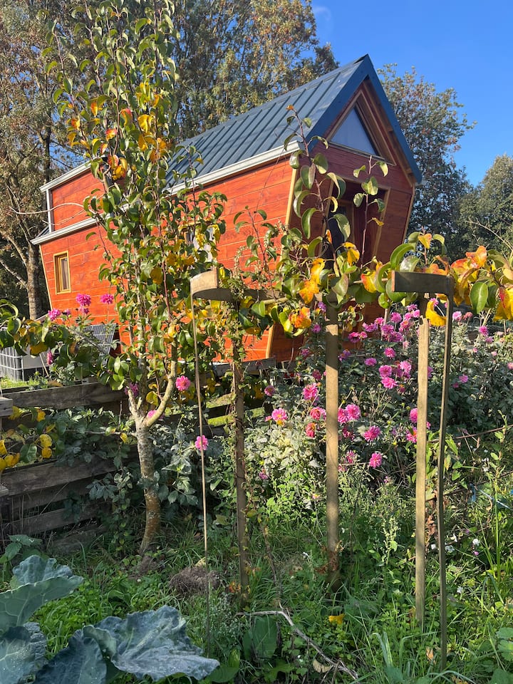 Tiny House 100% Autonome - Loire-Atlantique
