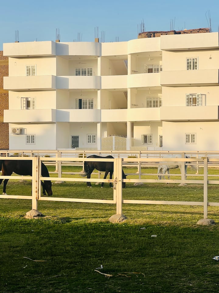 Apartment & Terrace Green Spaces & Close To Furry - Luxor