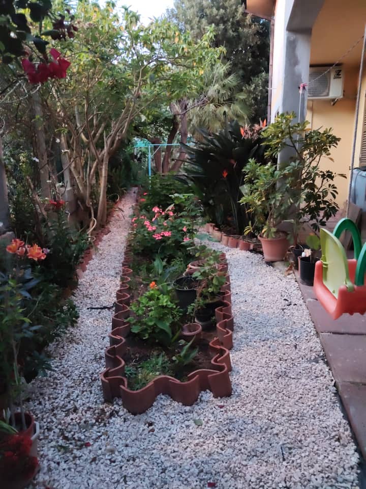 La Sterlizia - Buggerru