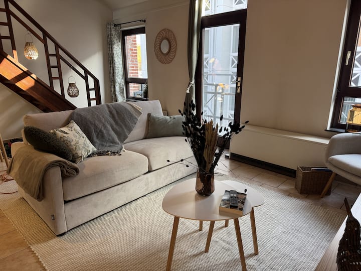 Appartement 1 Chambre 4 Personnes Avec Mezzanine - Ath