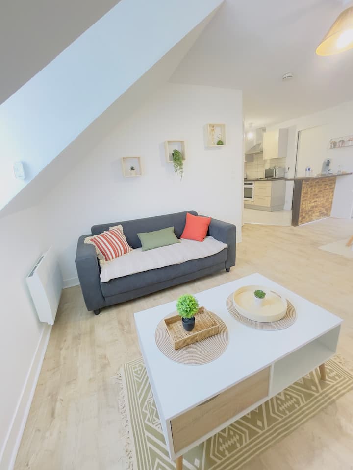 Jean Jaurès - 4 Pers - Parking Privé - Le Mans