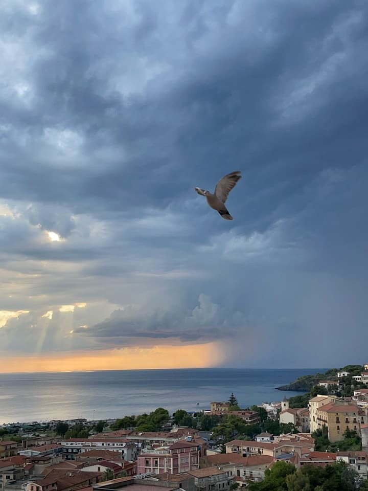 Monticello 2. Eagle House! - Scalea