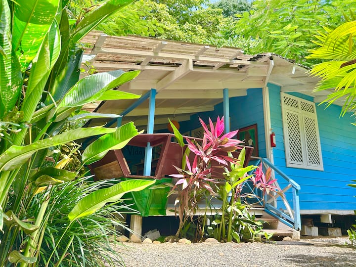 #3 Family Beach Vacation Casita Punta Uva Jungle - Limon