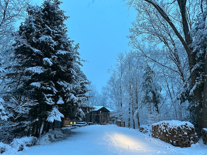 City-meets-forest At Hamilton
Tree House Retreat - Hamilton