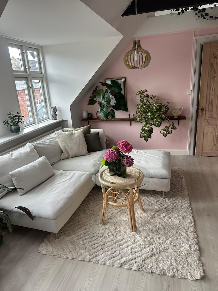 Skøn Lejlighed I Roligt Kvarter - Odense
