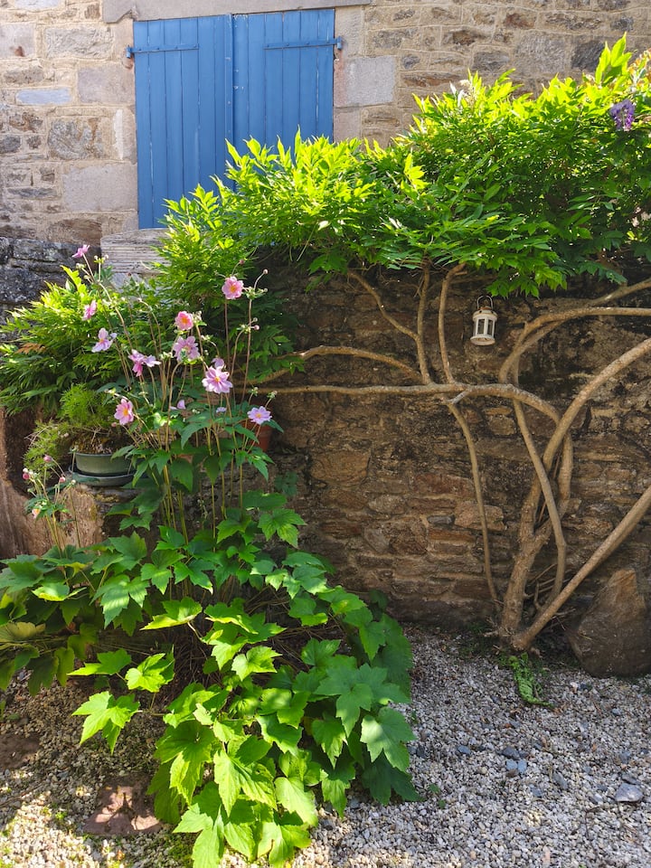 Charmante Maison Du Bourg - Saint-Briac-sur-Mer