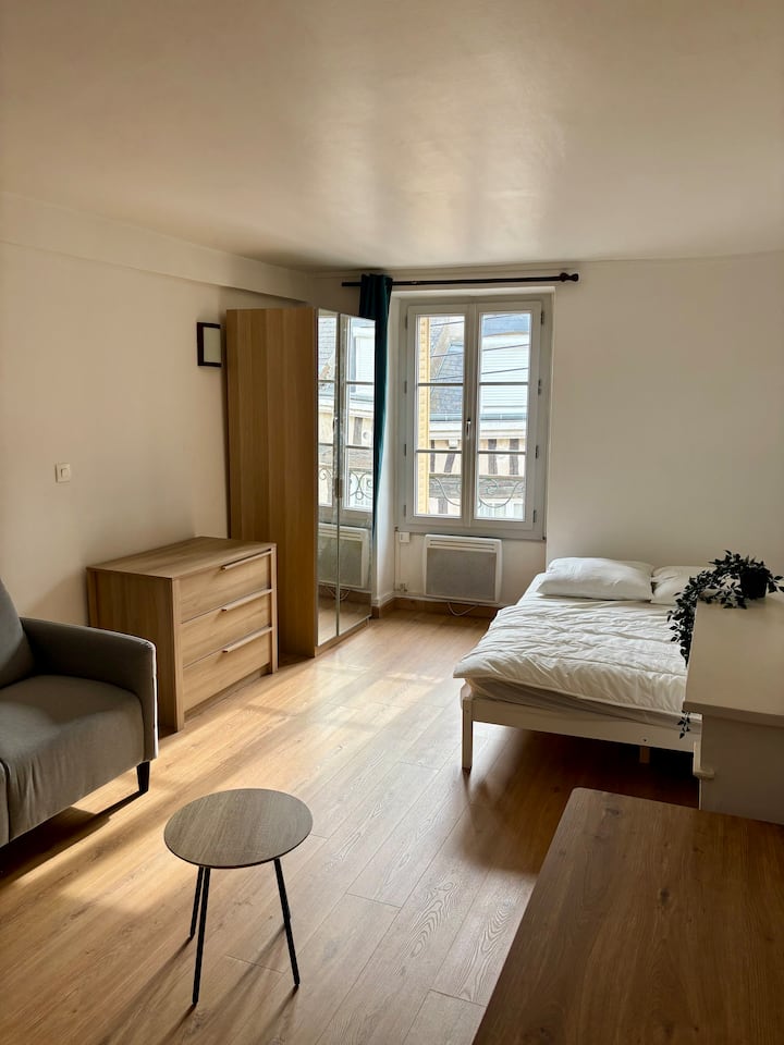 Studio Centre Ancien D’orléans - Orleans