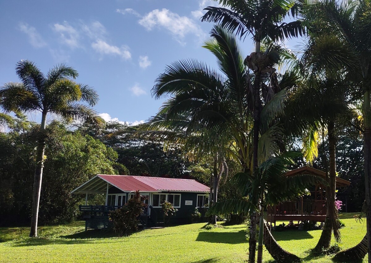 Bowman's Big Island Guest House - Houses for Rent in Pāhoa, Hawaii ...