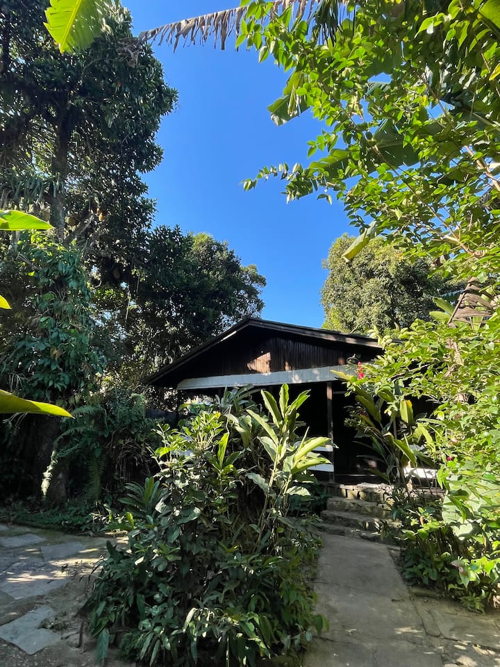 Paz No Centro - Ilha Grande