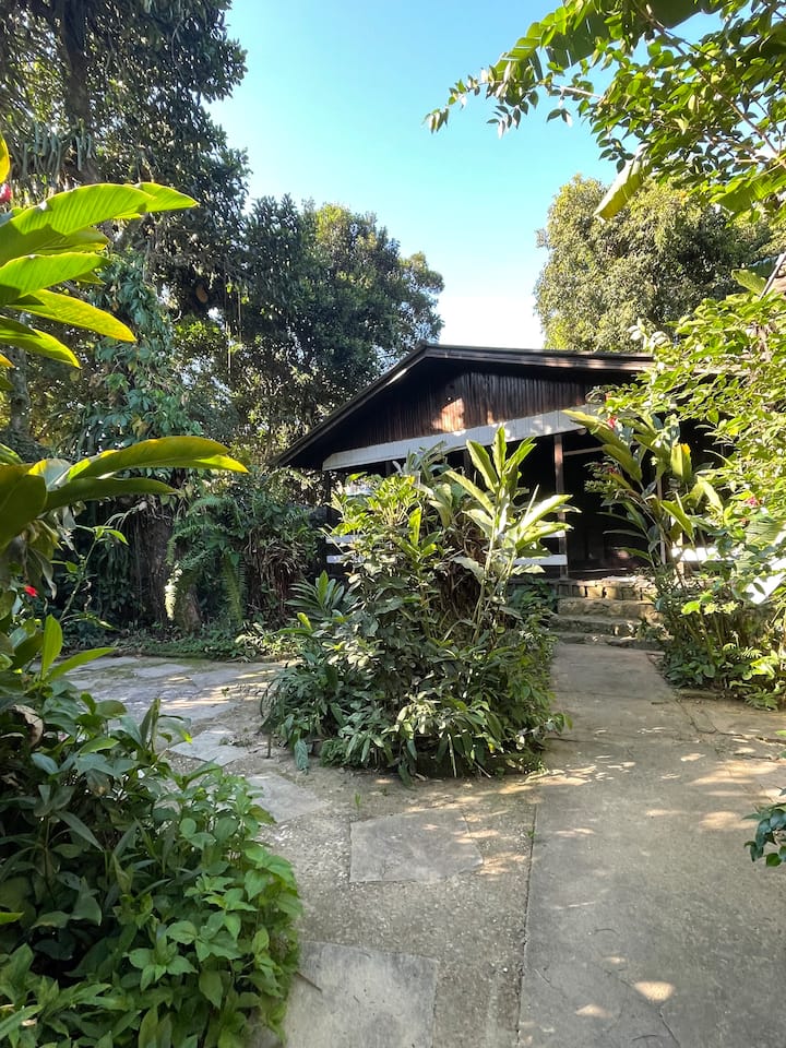 Paz No Centro - Ilha Grande