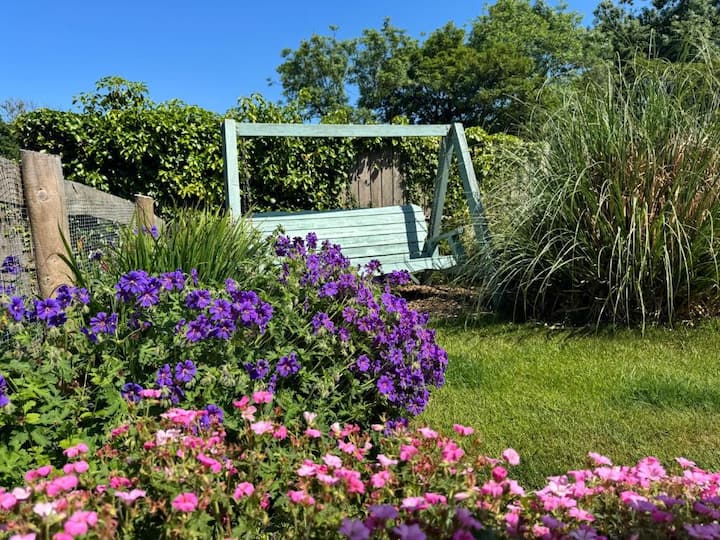 Scenic Walks & Pet Friendly Stay - New Quay