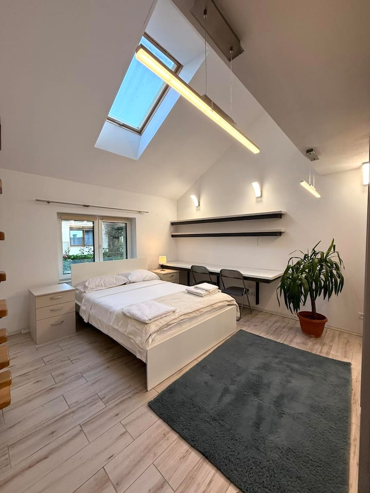 La Casa Decebal - Centru Cluj - Cluj-Napoca