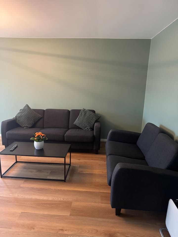 Nydelig Leilighet Med Gratis Parkering Ved Huset. - Oslo
