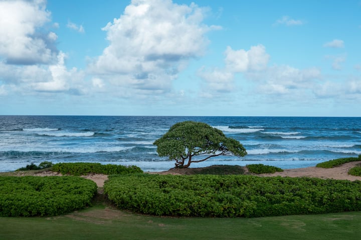 Best Ocean View Room At Resort! - Kauai, HI