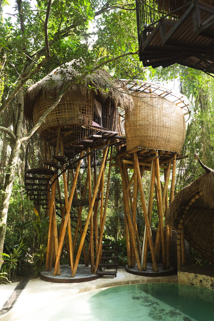 Firefly's Delux Bird's Nest A - Ubud