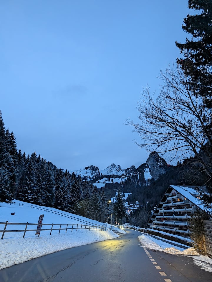 Confortable & Cozy Cocon De Torgon - Bouveret