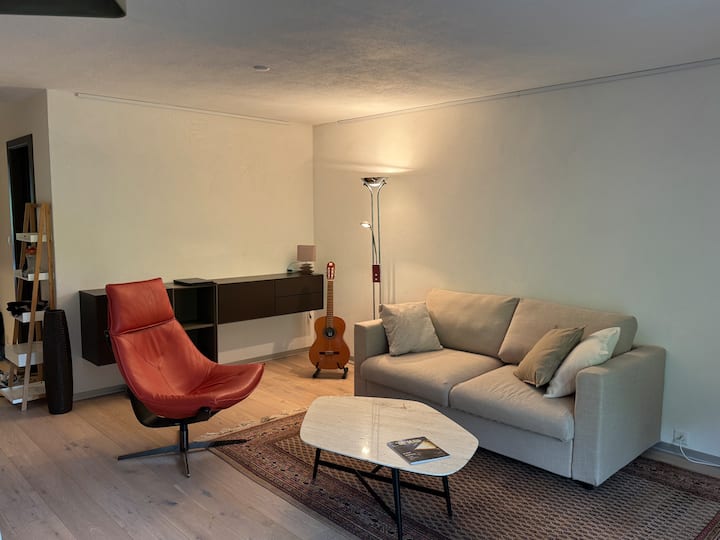 Confortable & Cozy Cocon De Torgon - Aigle
