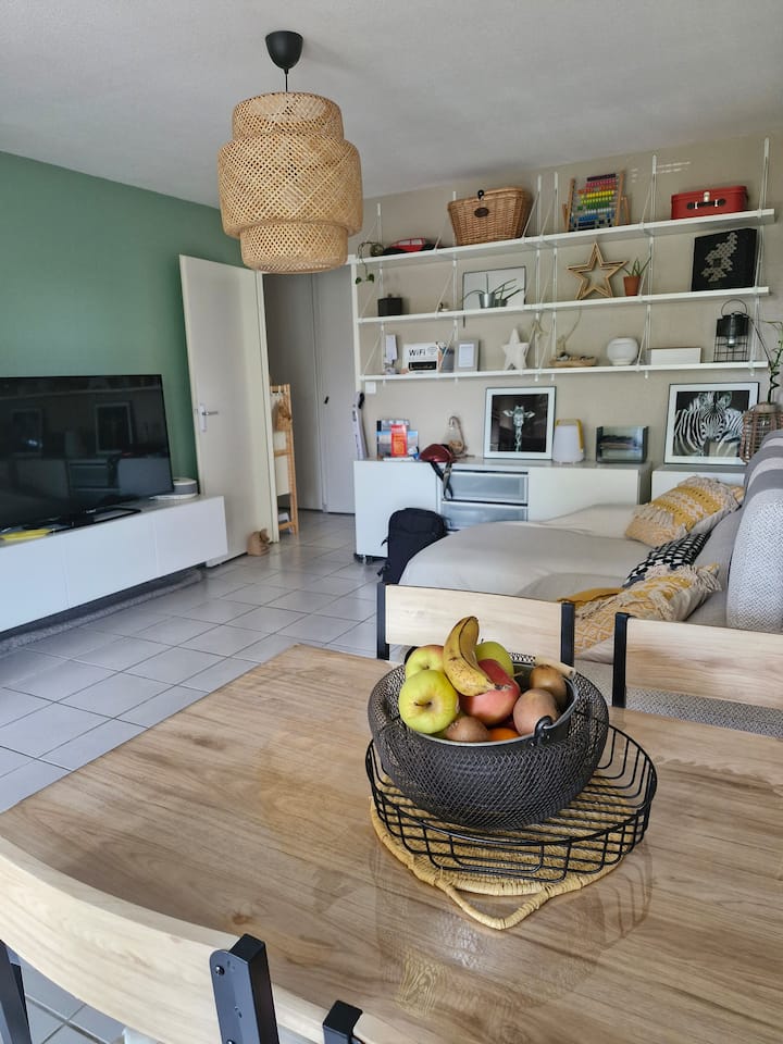 Colomiers  Charmant T2   Jardin  Piscine. - Colomiers