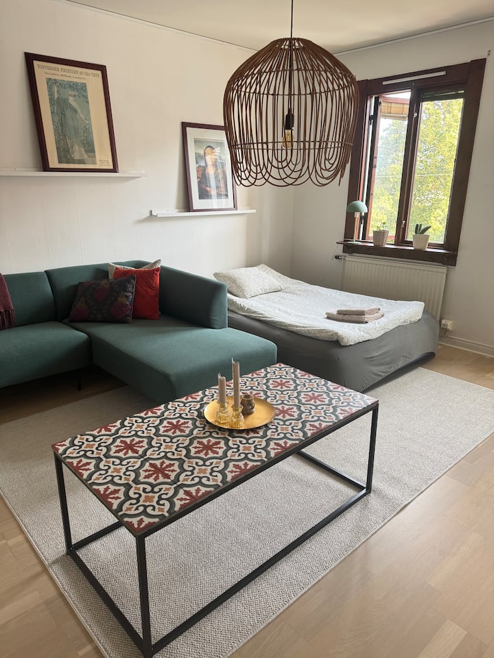 Spacious Room In Central Gothenburg - Gothenburg