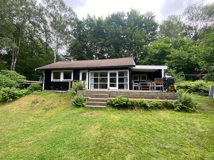 Hytte På Toppen Af Hallandsåsen - Örkelljunga