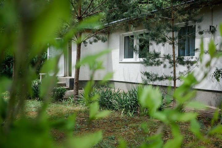 Bungalow Auf Der Halbinsel - Rheinsberg