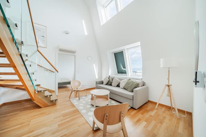 City Apartment With Rooftop Terrace & Ac - Viena