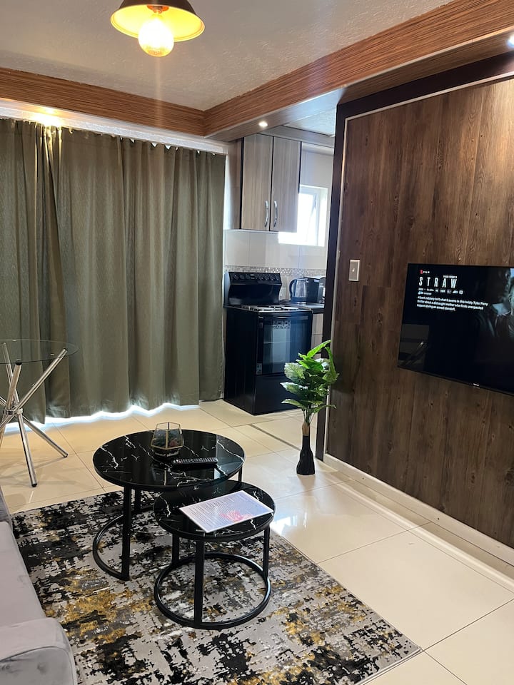 Thatishi's Sandton Apartment - Sandton