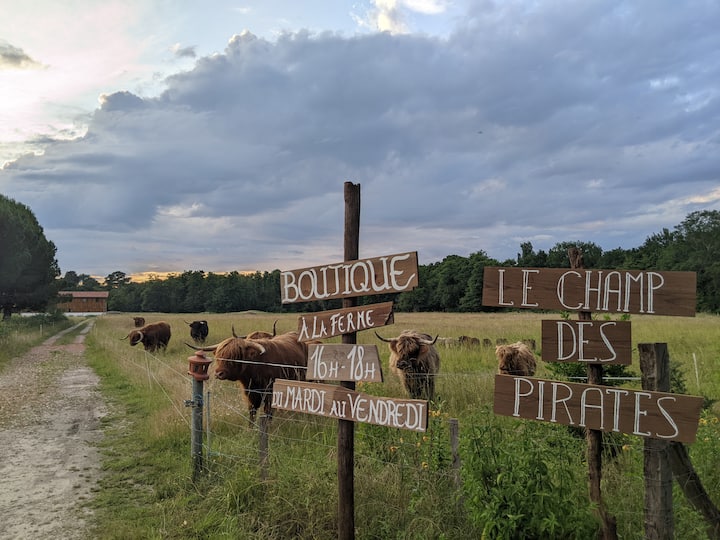 Roulotte Des Champs - Mimizan