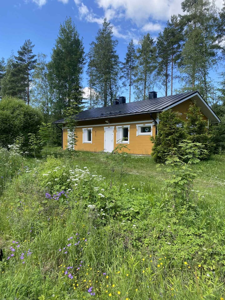Kotiahon Pirtti Maalaismaisemassa - Mänttä-Vilppula