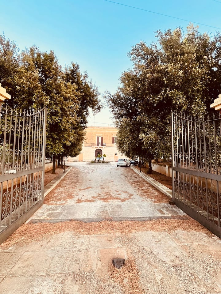 Barnabeto Country - Monopoli