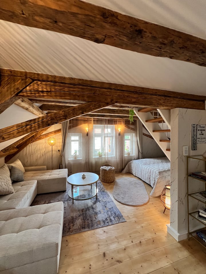 Wohnen Am Unteren Schloss „Casa Ribeiro Sotao“ - Bamberg