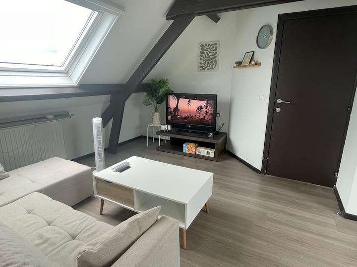 Bright Top-floor Apartment - Brügge