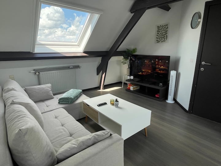 Bright Top-floor Apartment - Brujas