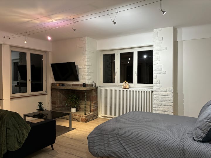 Spacious Studio With Big Garden - Eguisheim