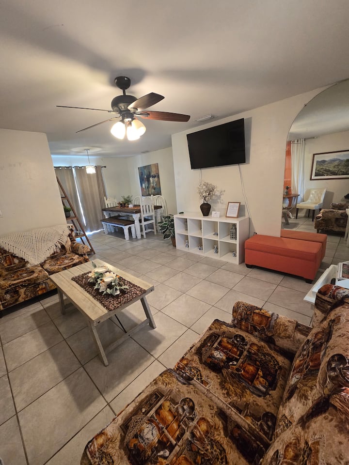 Rooster - Bradenton, FL