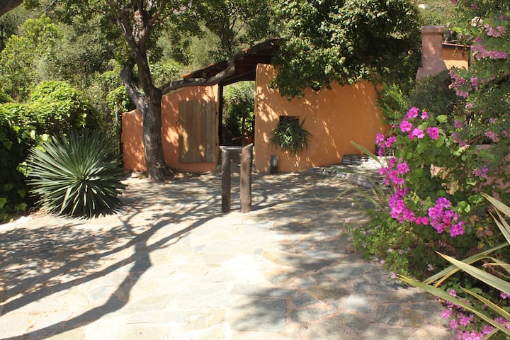 Petit Bungalow - Korzika
