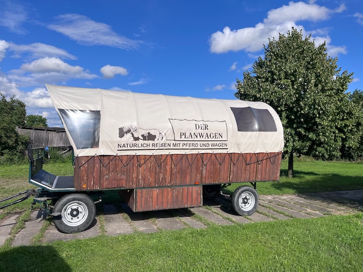 Planwagen - Lutherstadt Wittenberg