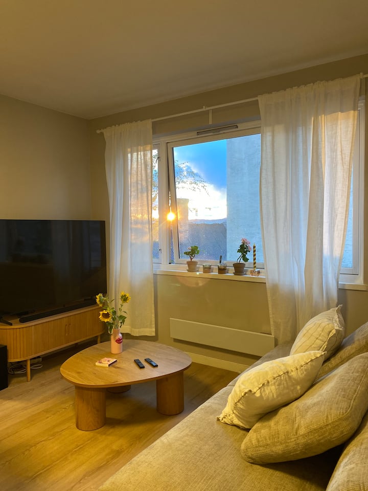 Moderne Og Sentral Leilighet - Oslo