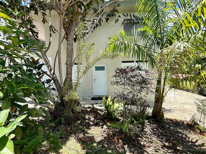 Vive El Encanto Del Campo - Cayey