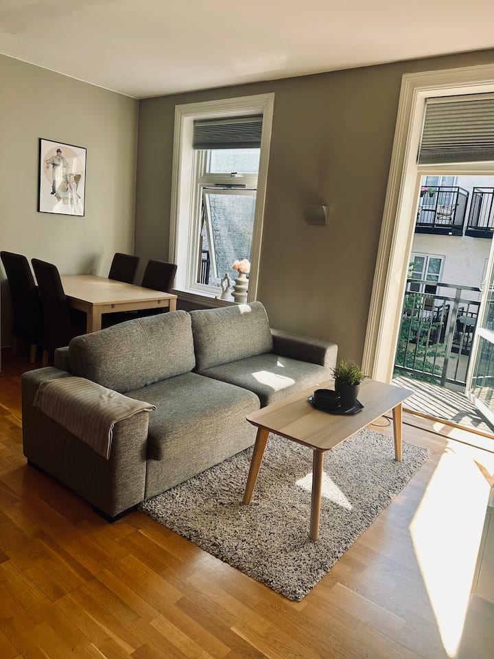 Moderne 2-roms Med Balkong - Oslo