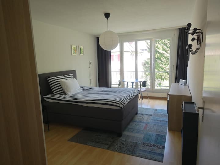 Studio Walking Distance To University/eth Zurich. - Zurique