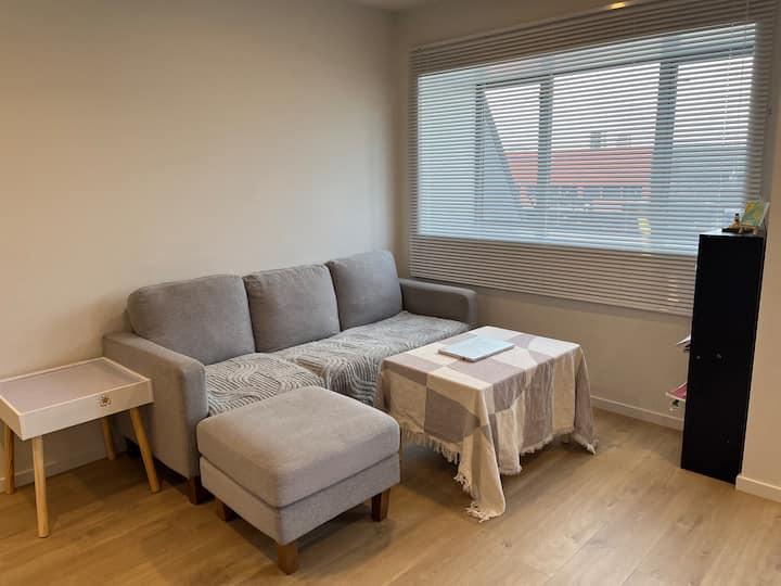 Lovely Family House - Blenheim