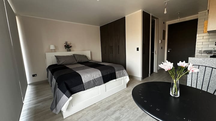 Cómodo Estudio Frente A Hospital U. De Chile - Independencia