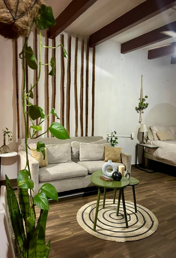 Departamento En Centro Histórico - Saltillo