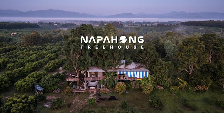 Napahong Treehouse - Phrao District