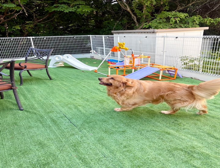 ワンちゃんと過ごす貸し別荘 - 琵琶湖