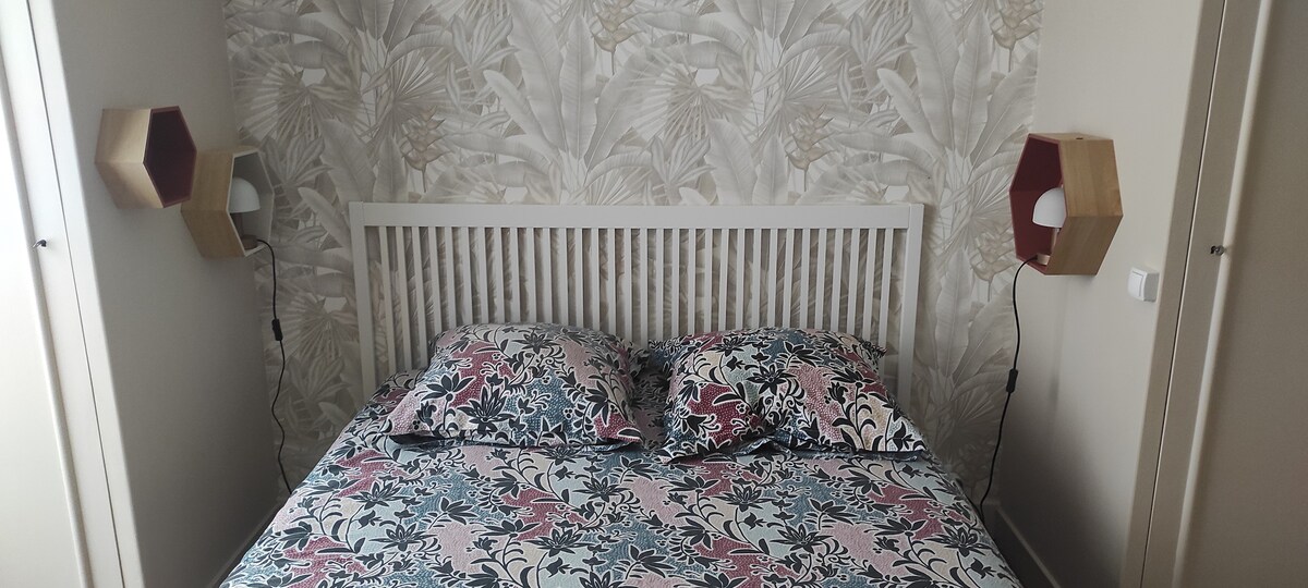 Chambre dans un appartement en hyper centre ville - Appartements à ...